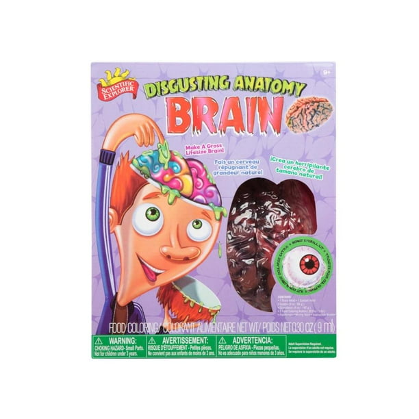 Set de Ciencia Scientific Explorer Anatomia del Cerebro Disgusting ...