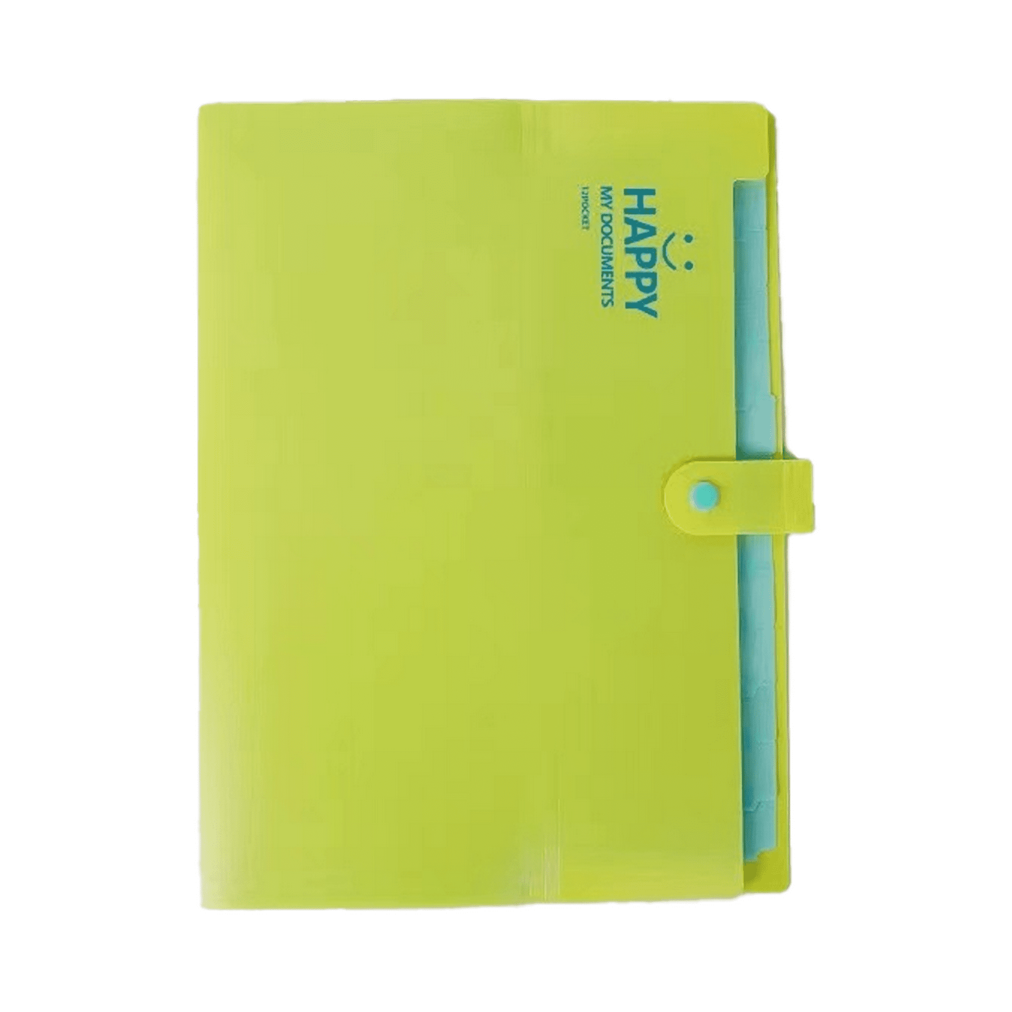 Carpeta de expansión Carpeta de acordeón de 12 bolsillos Carpeta de ...