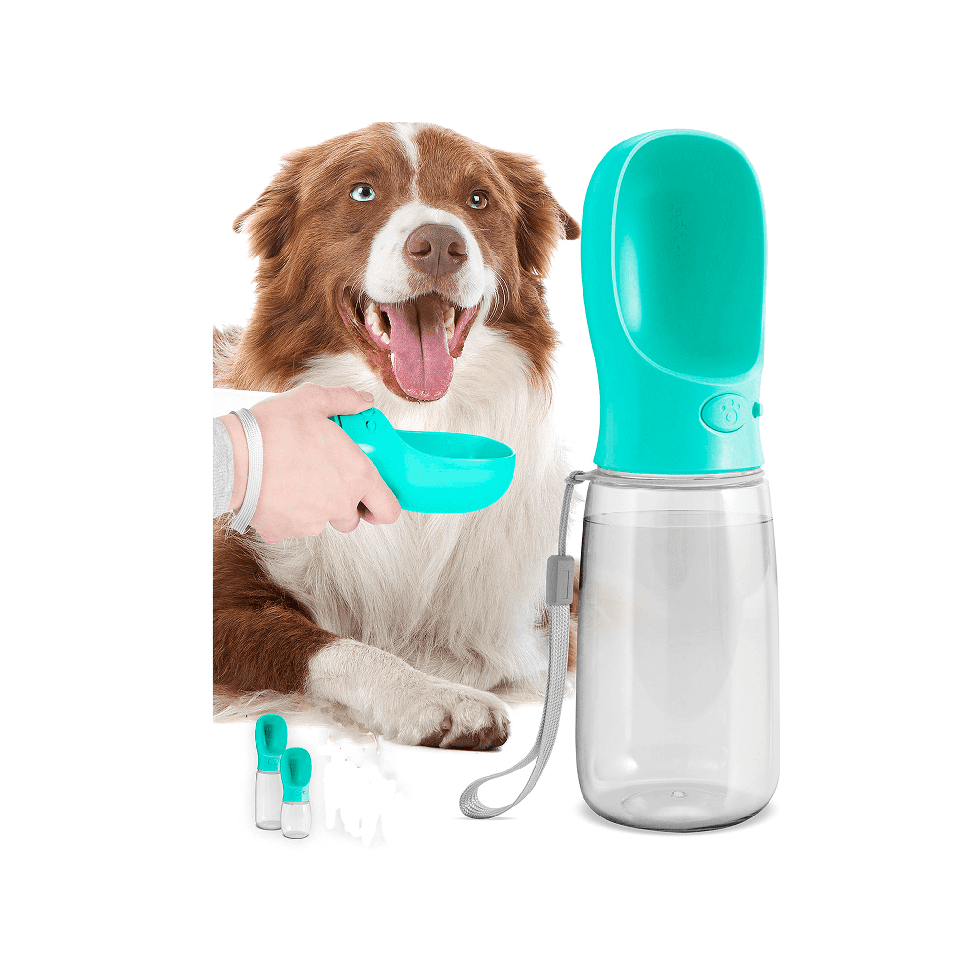 Pet Water Bottle, 350/550ml Portable Dog Water Feeding Container For ...