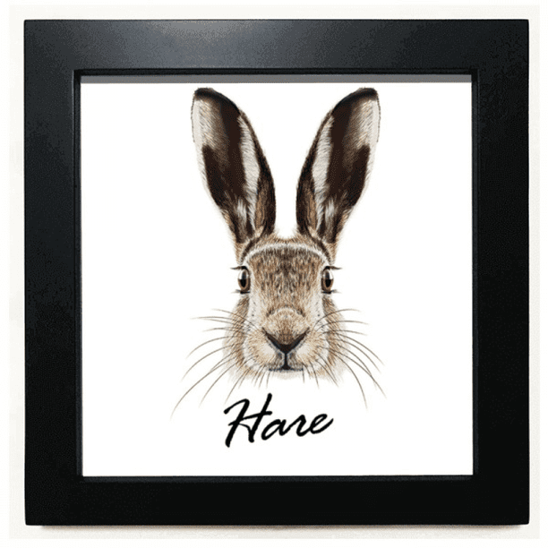 Narigón liebre salvaje animal gris Mesa de pared con marco cuadrado ...