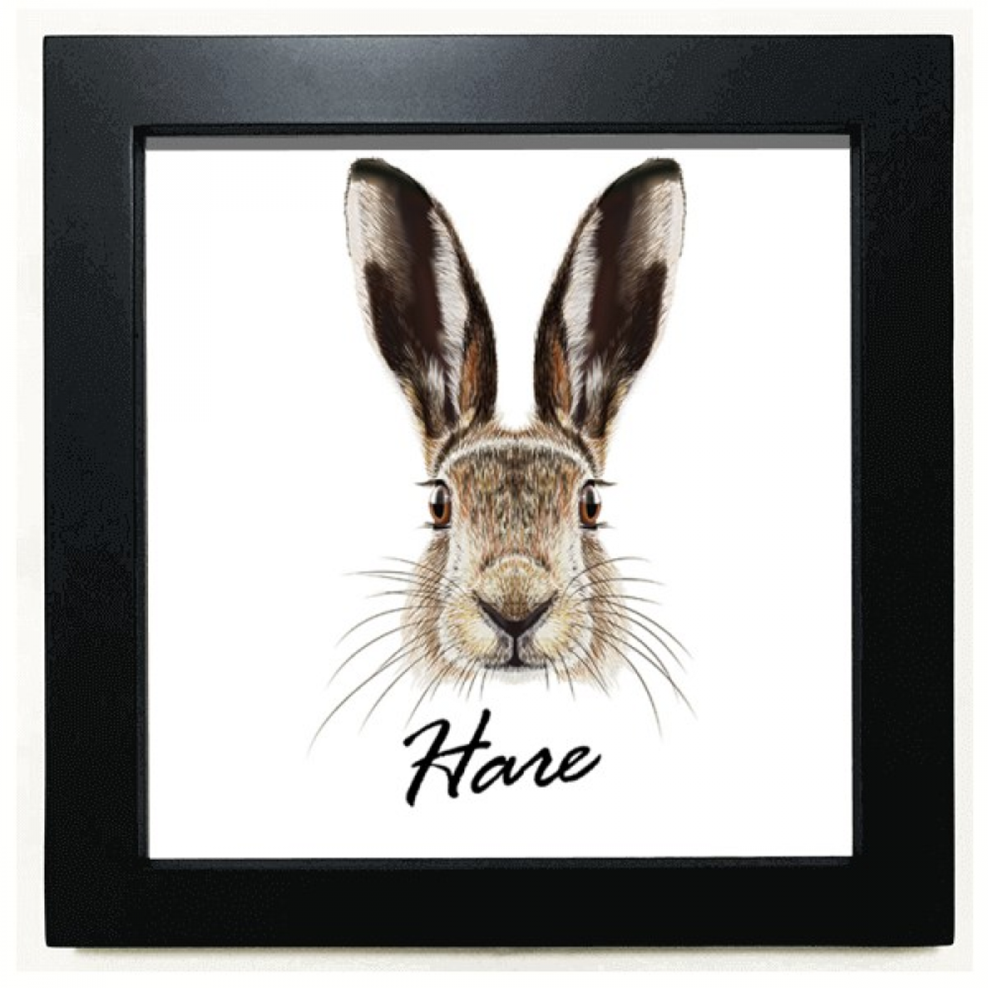 Narigón liebre salvaje animal gris Mesa de pared con marco cuadrado ...