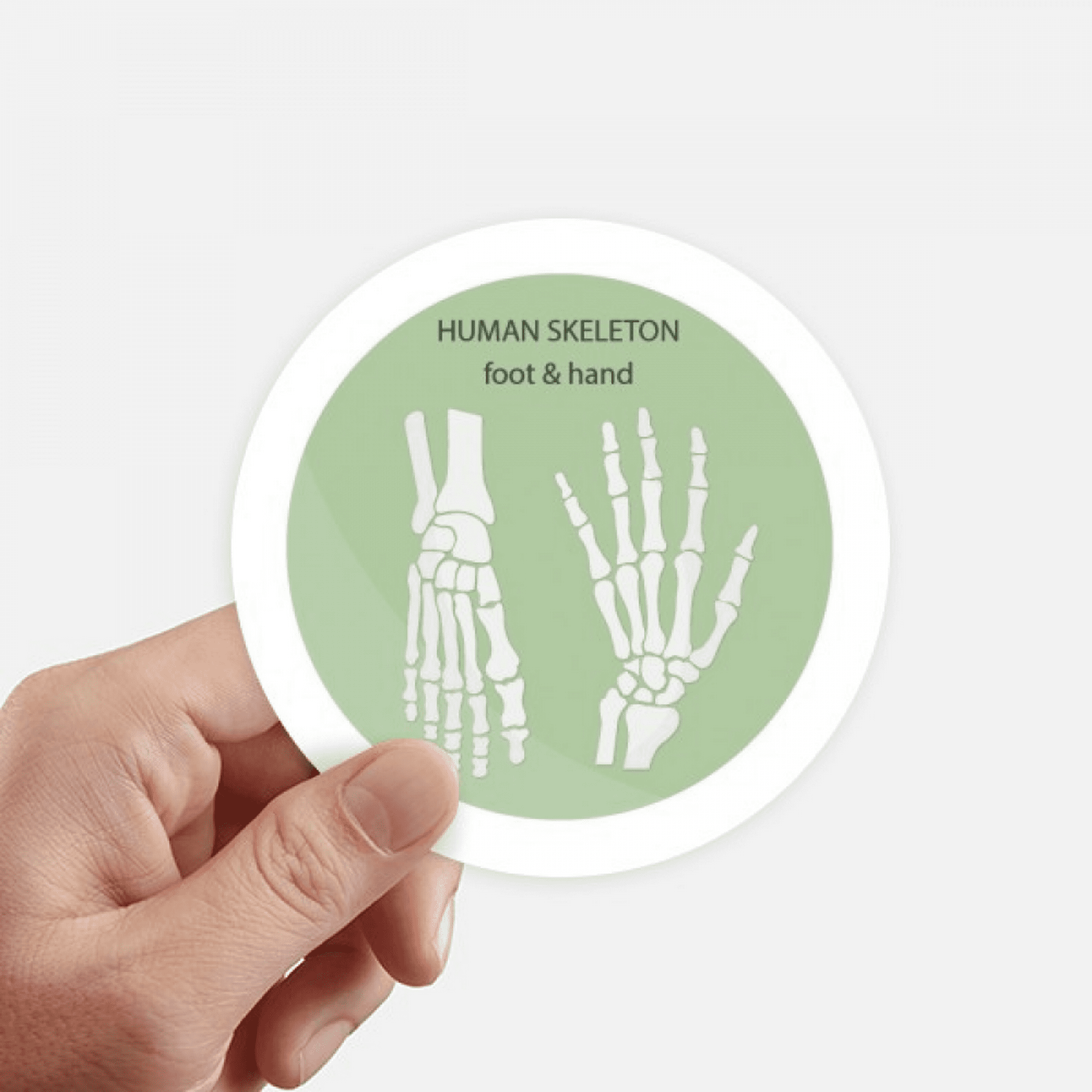 Esqueleto humano de pies y manos Pegatinas de pared redondo 10cm maleta ...