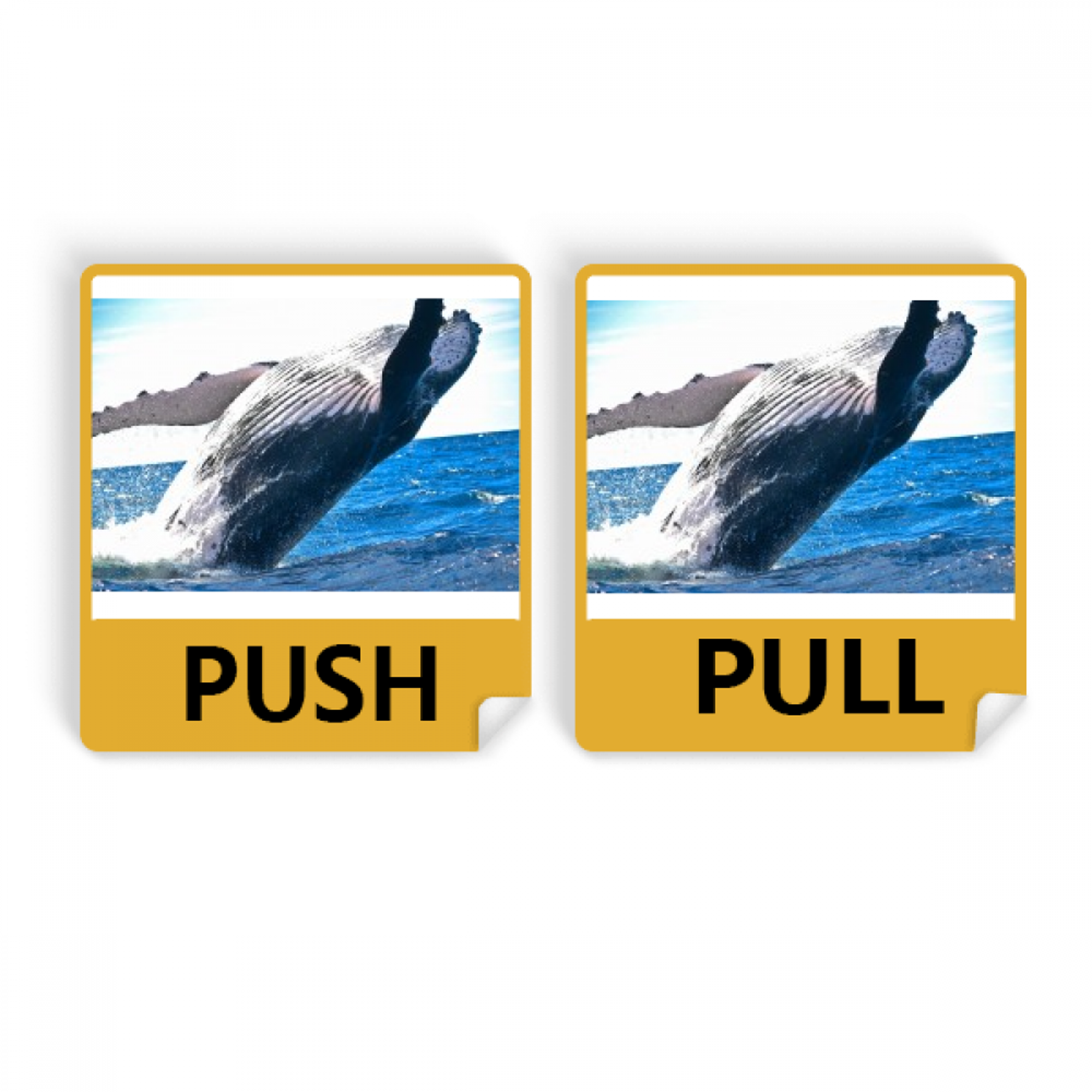 Organismo Marino Ballena Ocean animal Etiquetas engomadas de la puerta ...