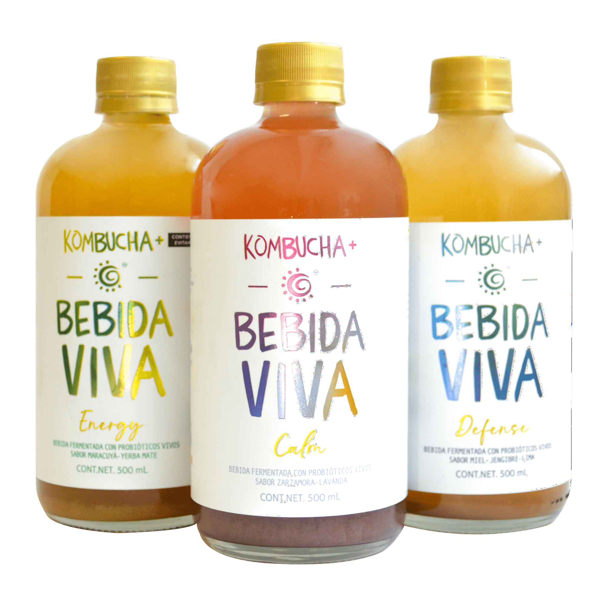 Bebida Viva Kombucha + / Bebida probiótica 36-pack (500 ml c/u Bebida ...
