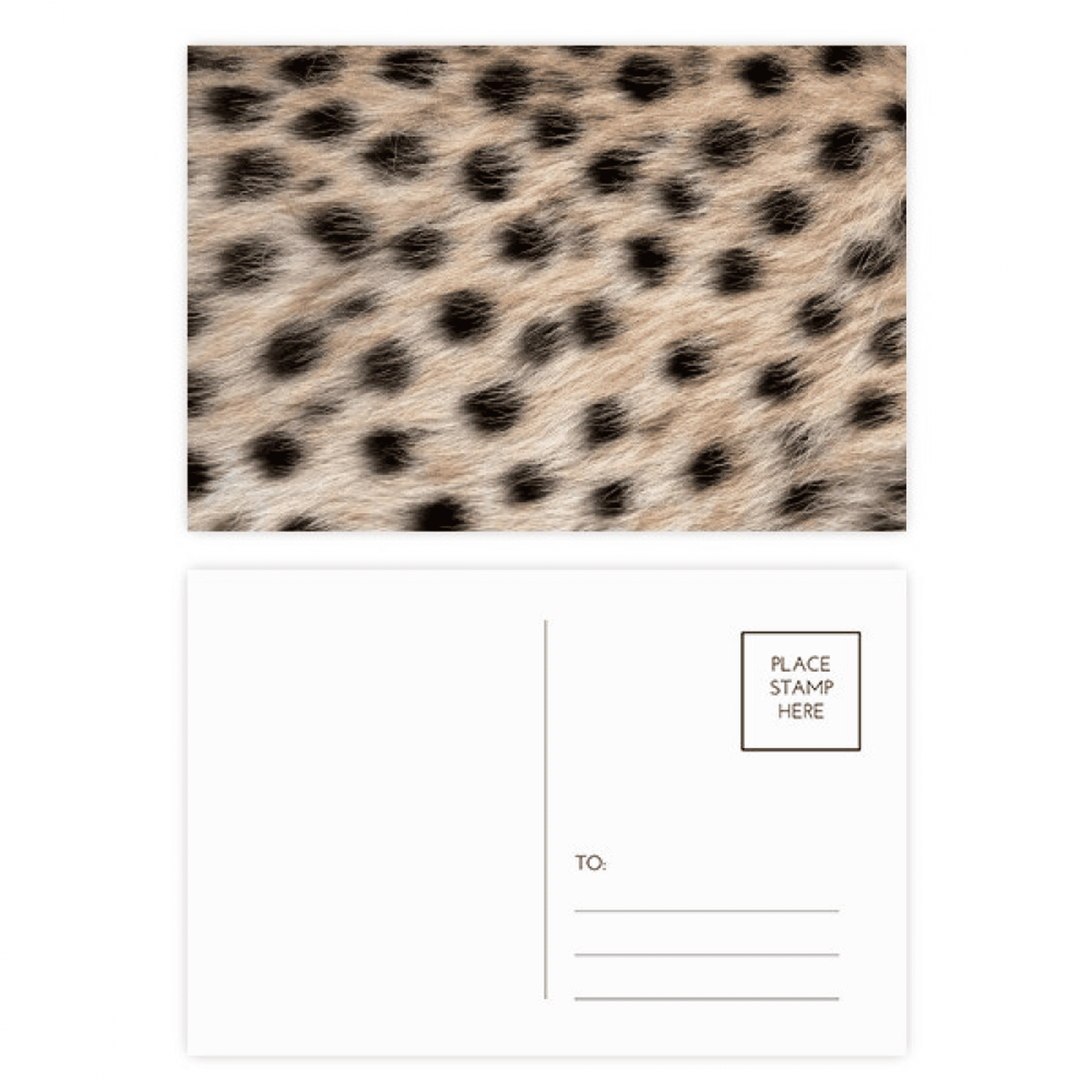 Leopard Feather Abstract Design Set cumpleaños gracias tarjeta postal ...