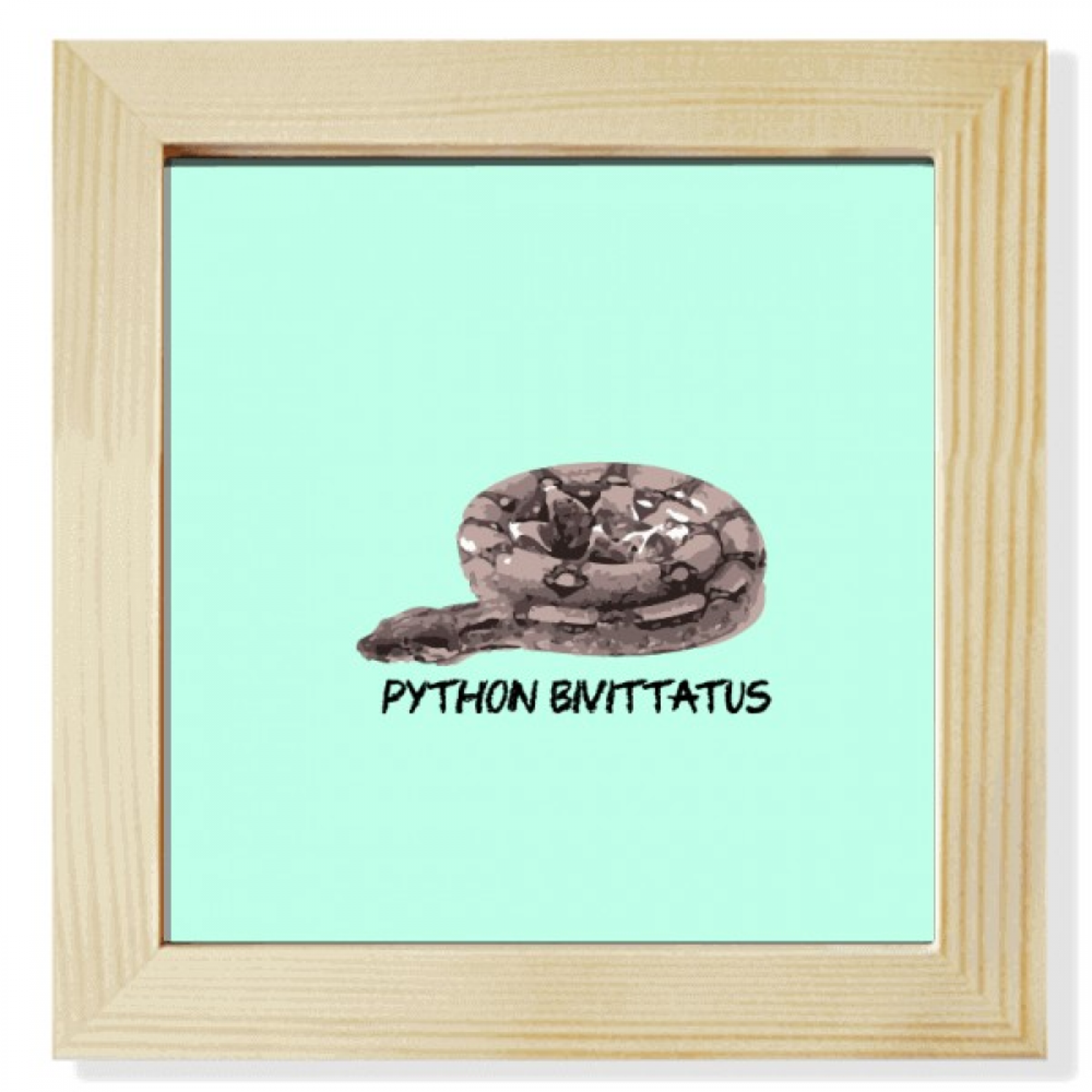 Asno africano Pantalla de escritorio de pared de fotograma cuadrado ...