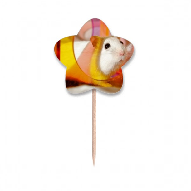 Rata Blanca animal mascota juego juguetes Selección de pastelitos Star ...