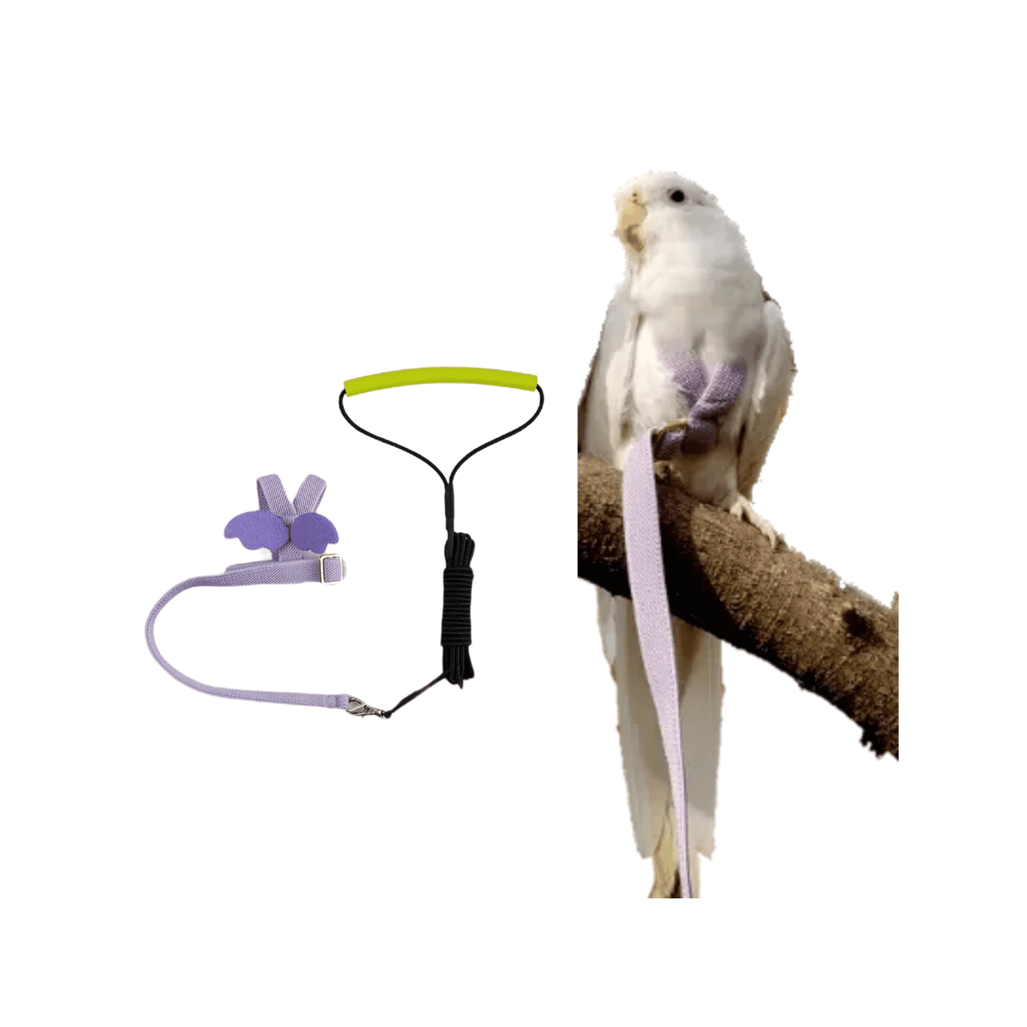 Pet Parrot Bird Harness Leash Adjustable Bird Flying Harness Traction ...