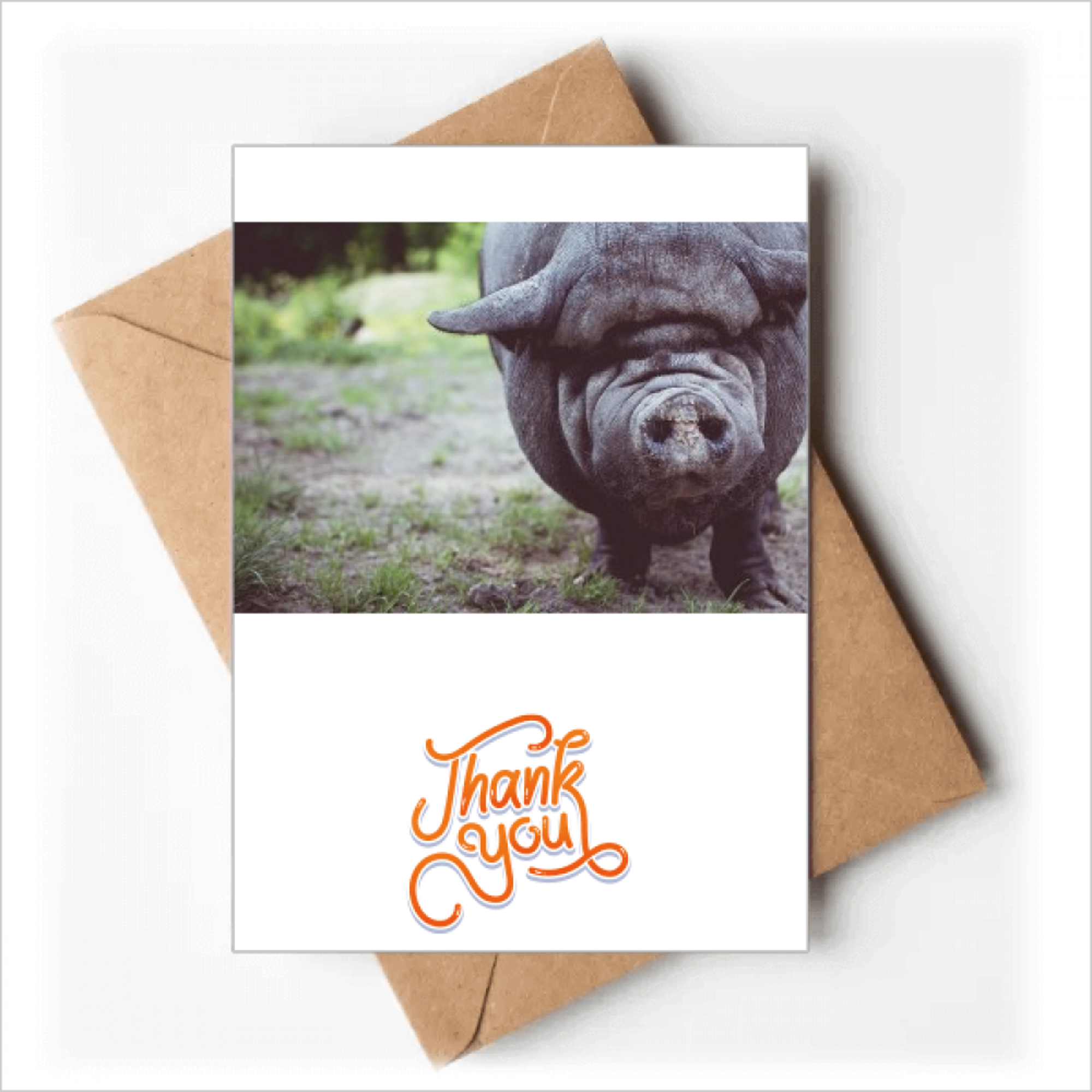 Fotografía de animales salvajes terrestres organismo Nota en blanco del ...