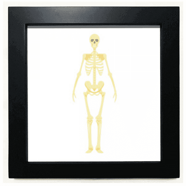 Cuerpo humano ilustración hueso frontal Mesa de pared con marco ...