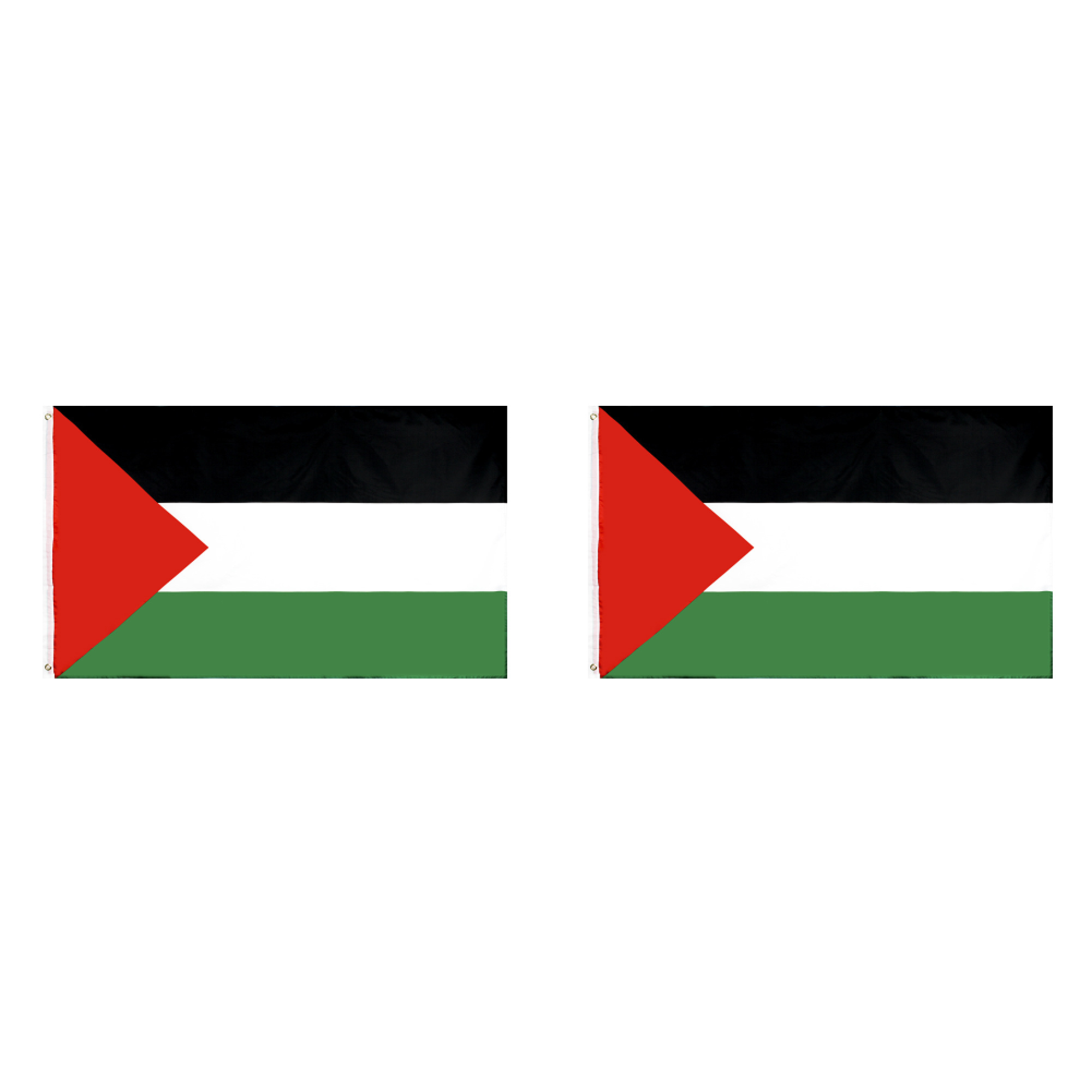 Bandera Interior Exterior Banner 5x3 FT Palestina Fiesta Nacional ...