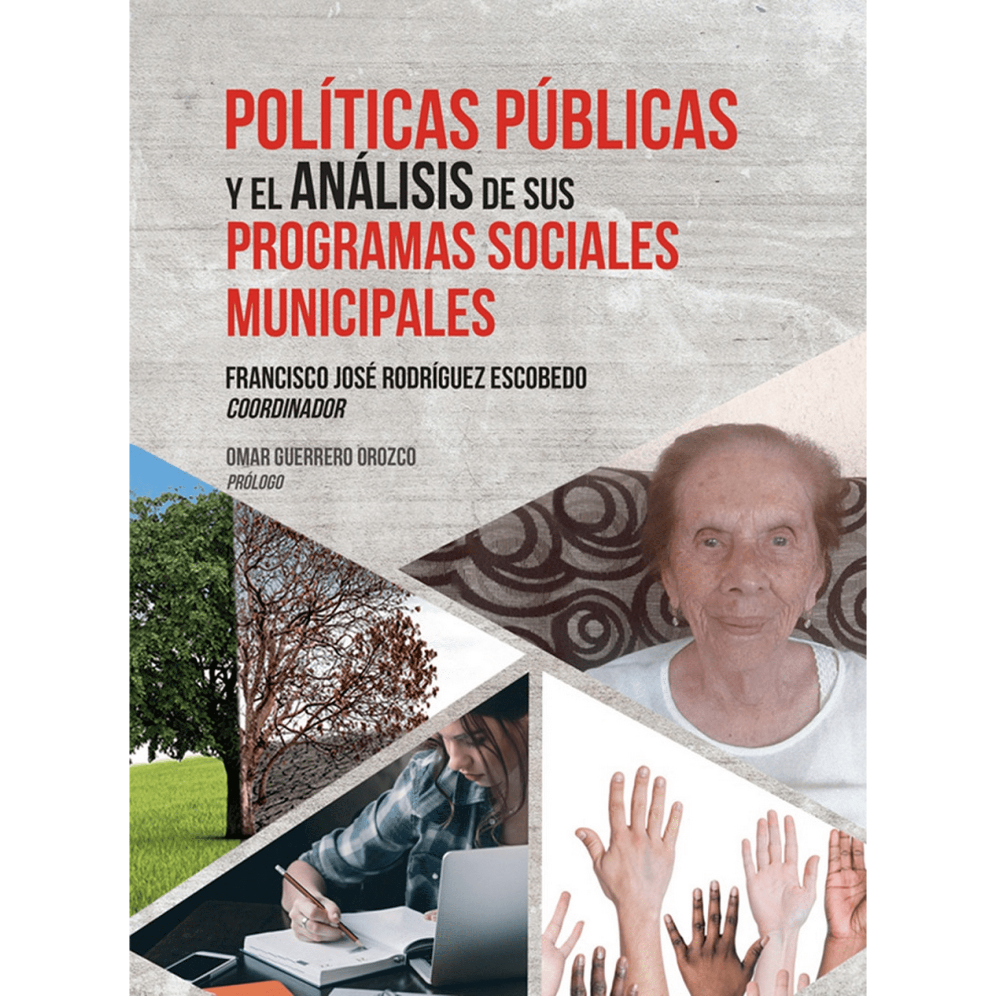 Políticas públicas y el análisis de sus programas sociales municipales ...