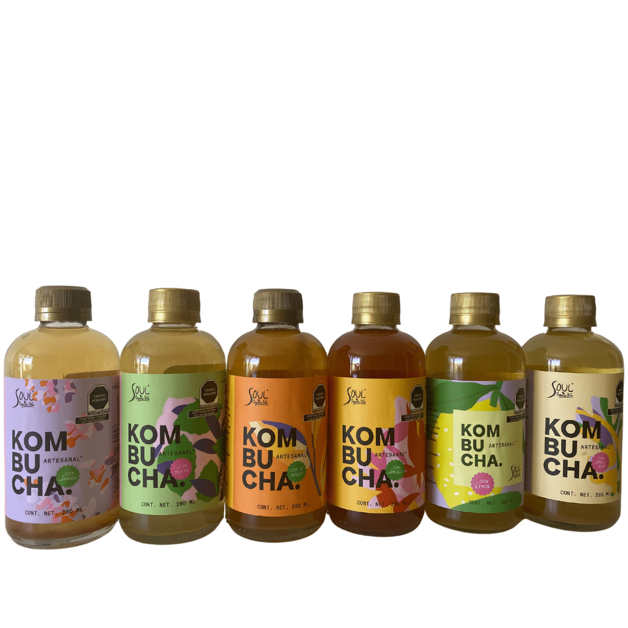 Pack de 6 kombuchas artesanales/cambucha/té negro/té verde/una de cada ...