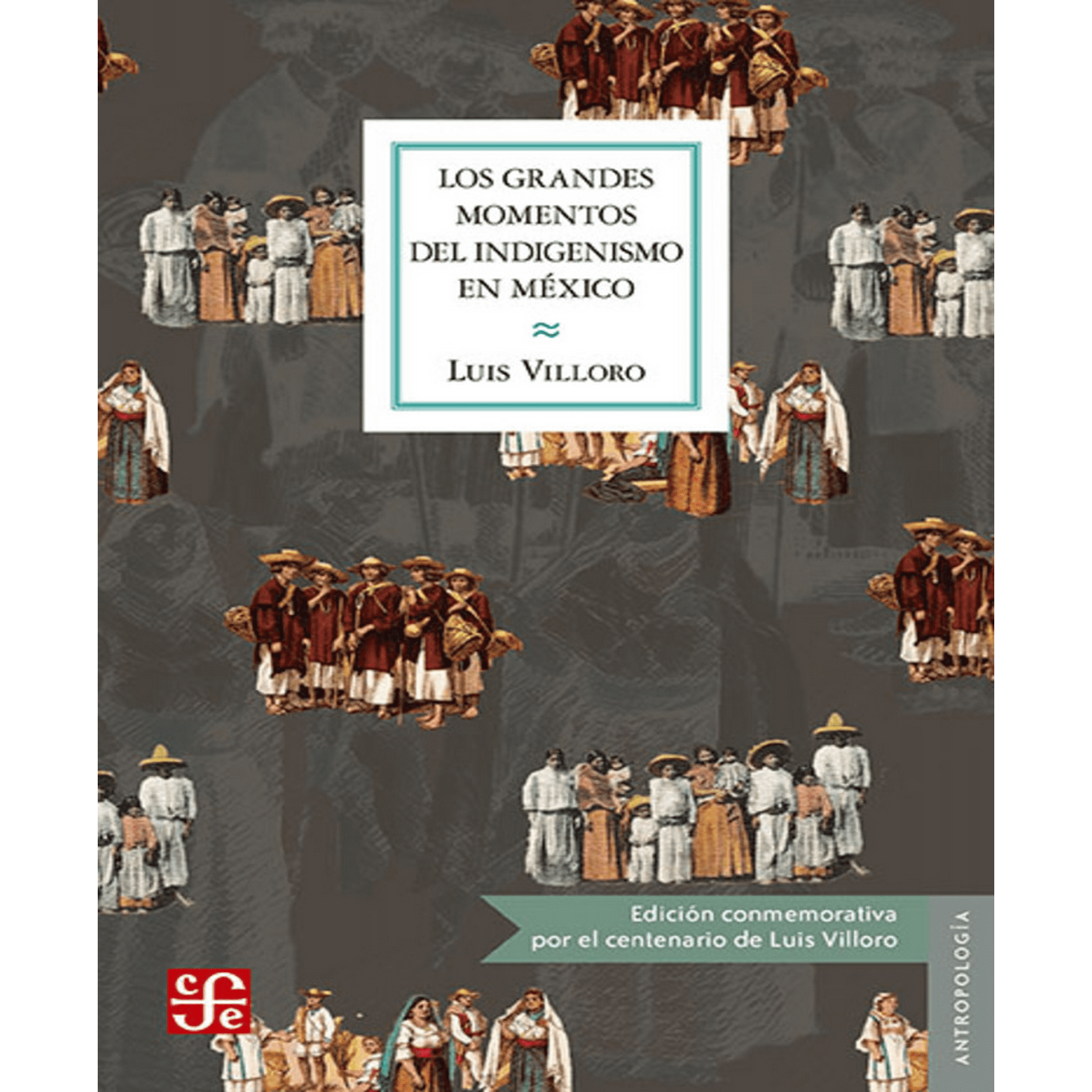 Del Indigenismo Al Indianismo. Los Movimientos Étnicos En – NQETJ