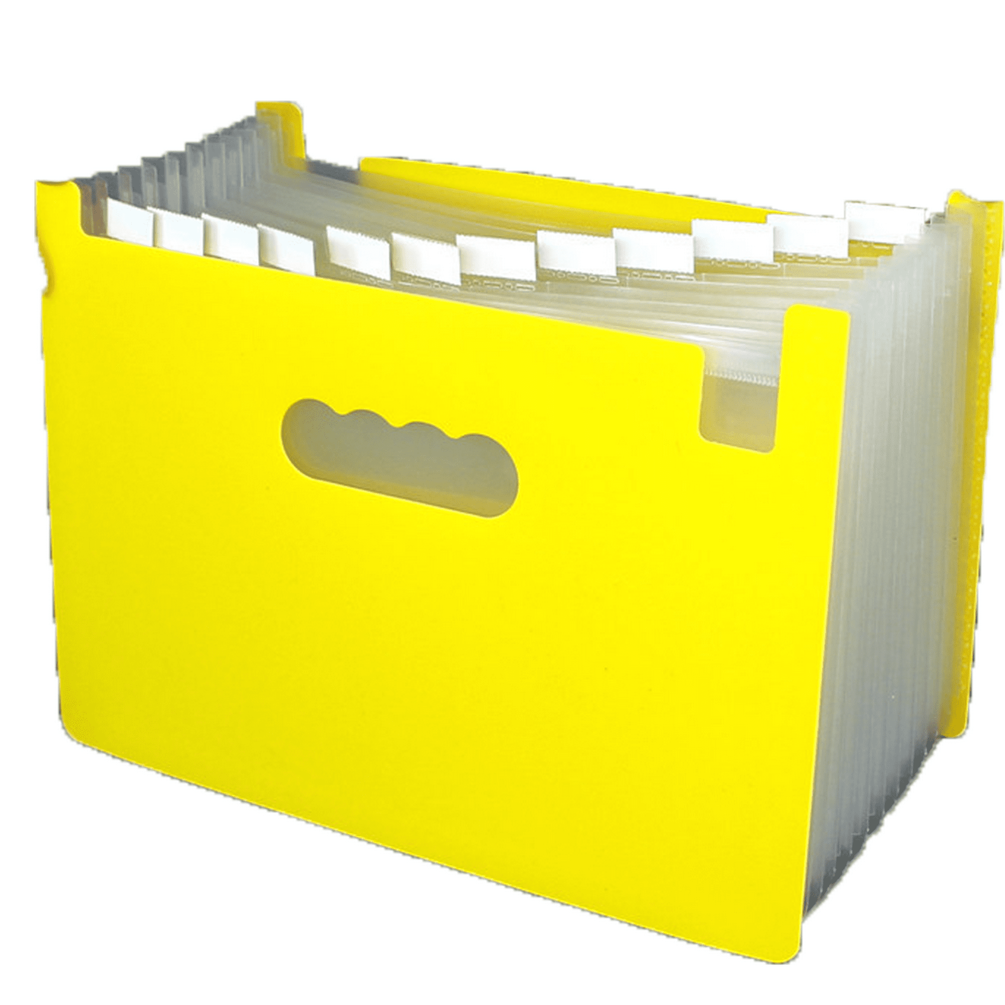 Expanding File Folder with Sticky Labels, File Organizer, Expandable ...
