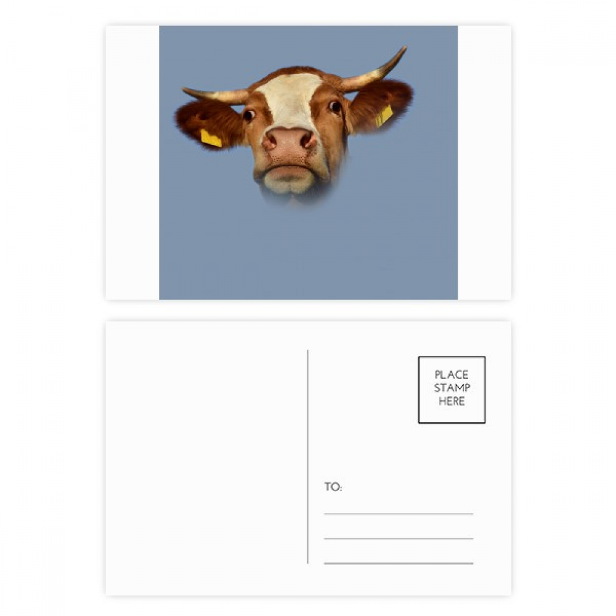 Pan de vaca Juego de postales Cumpleaños Tarjeta de agradecimiento Lado ...