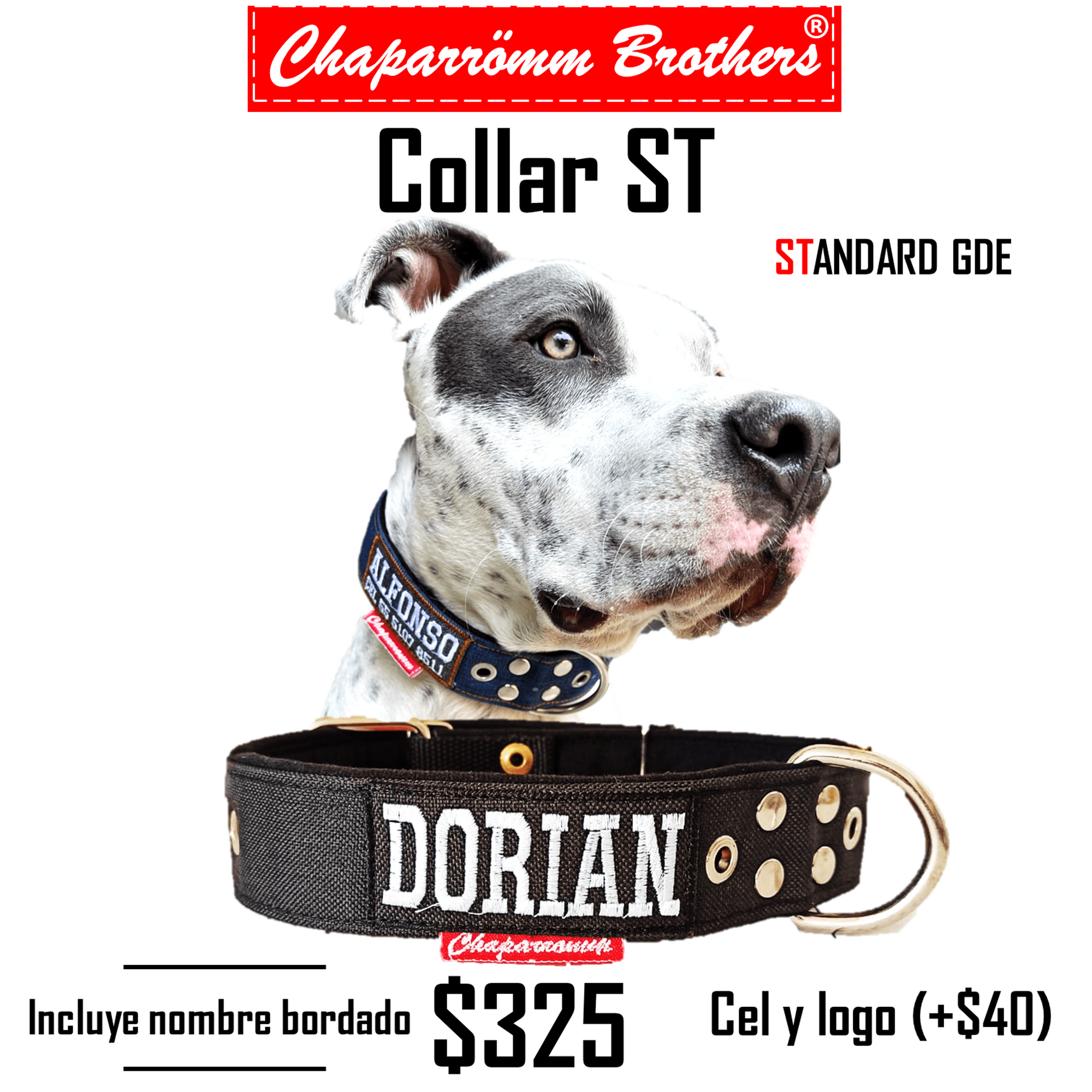 Collar para perro, PERSONALIZADO Chaparrömm Brothers Collar ST ...