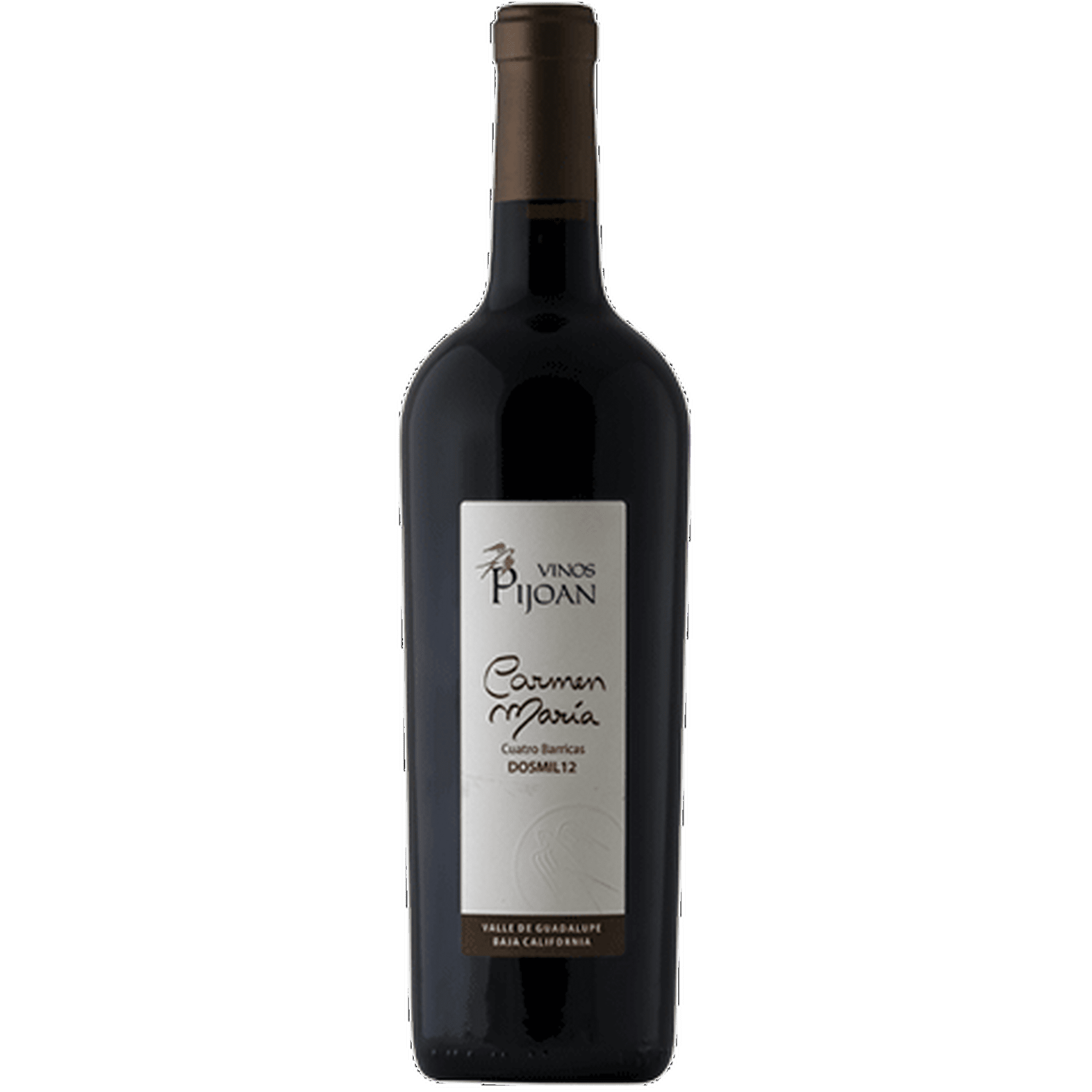 Vino Tinto Pijoan Carmen-Maria 750 ml Vid Mexicana No aplica | Walmart ...