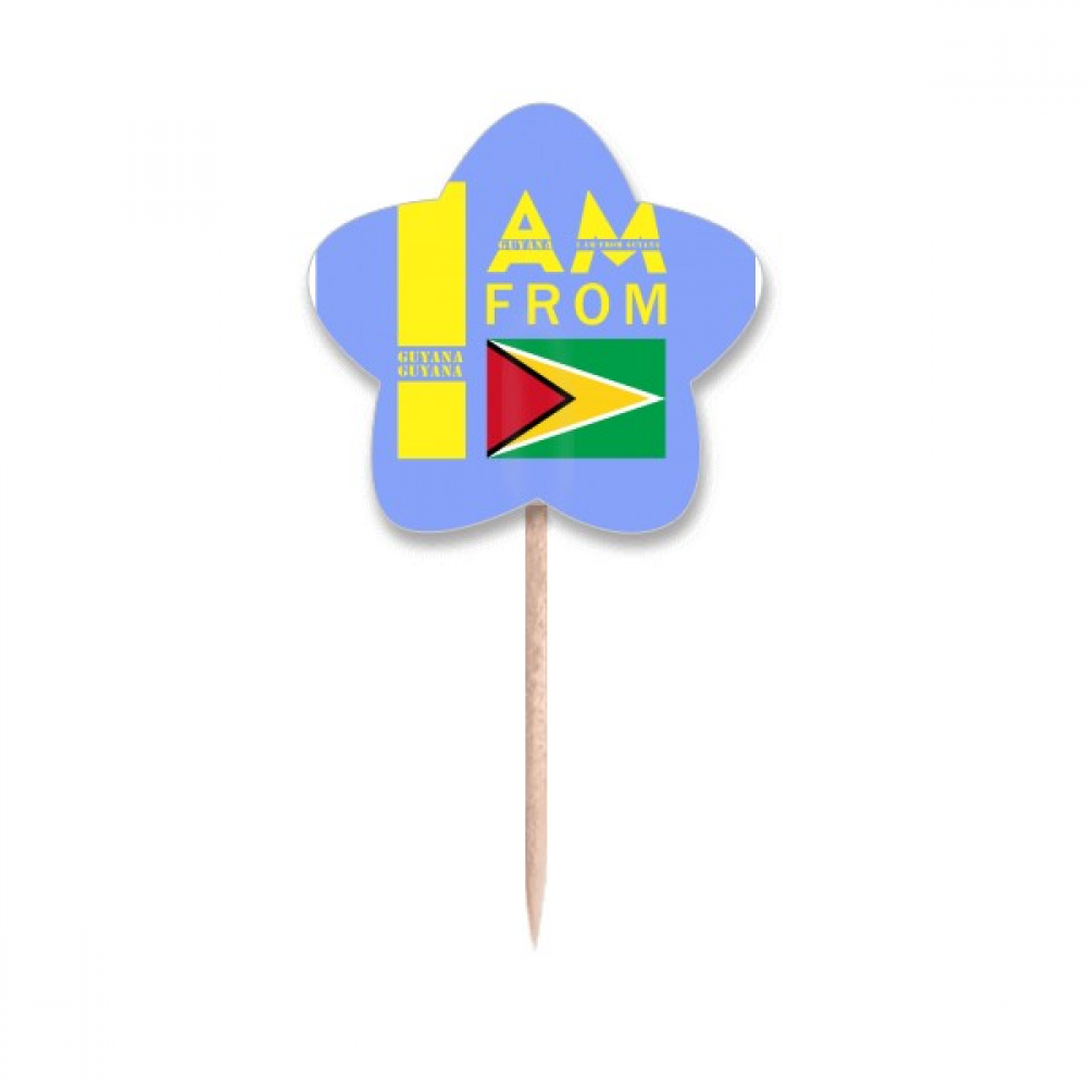 Soy de Guyana Selección de pastelitos Star lable Flag en palillos de ...