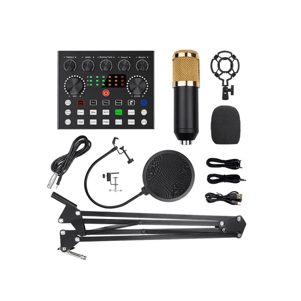Professional Microphone Sound Card Kit With Condenser Microphone And ...