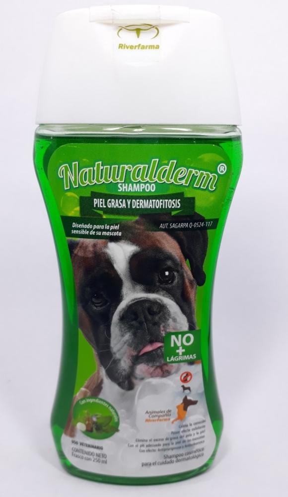 Shampoo Cosmético Para Piel Grasa Y Dermatofitosis Naturalderm ...
